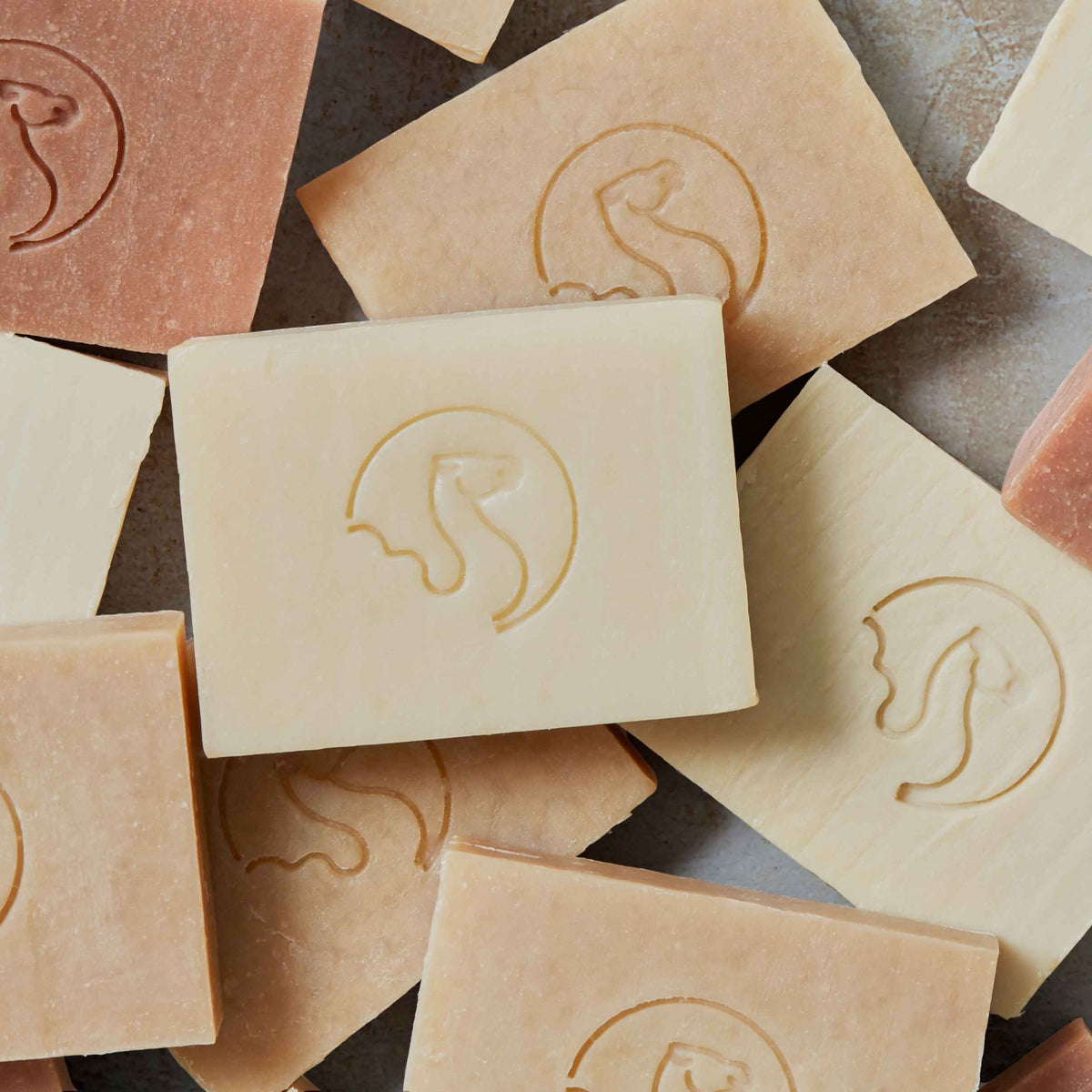 Bundles – The Camel Soap Factory