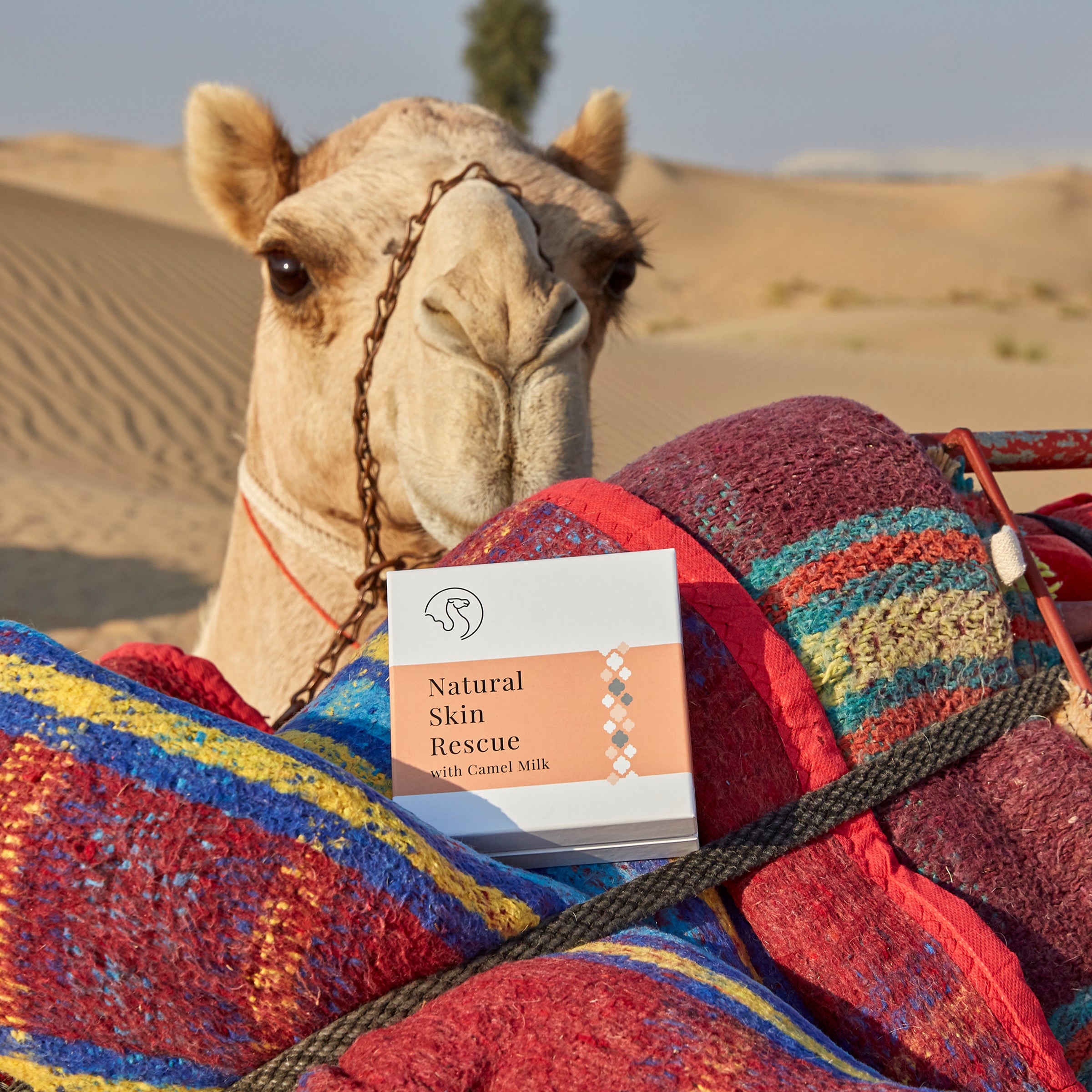 Camel Milk Face Rescue Cream – The Camel Soap Factory