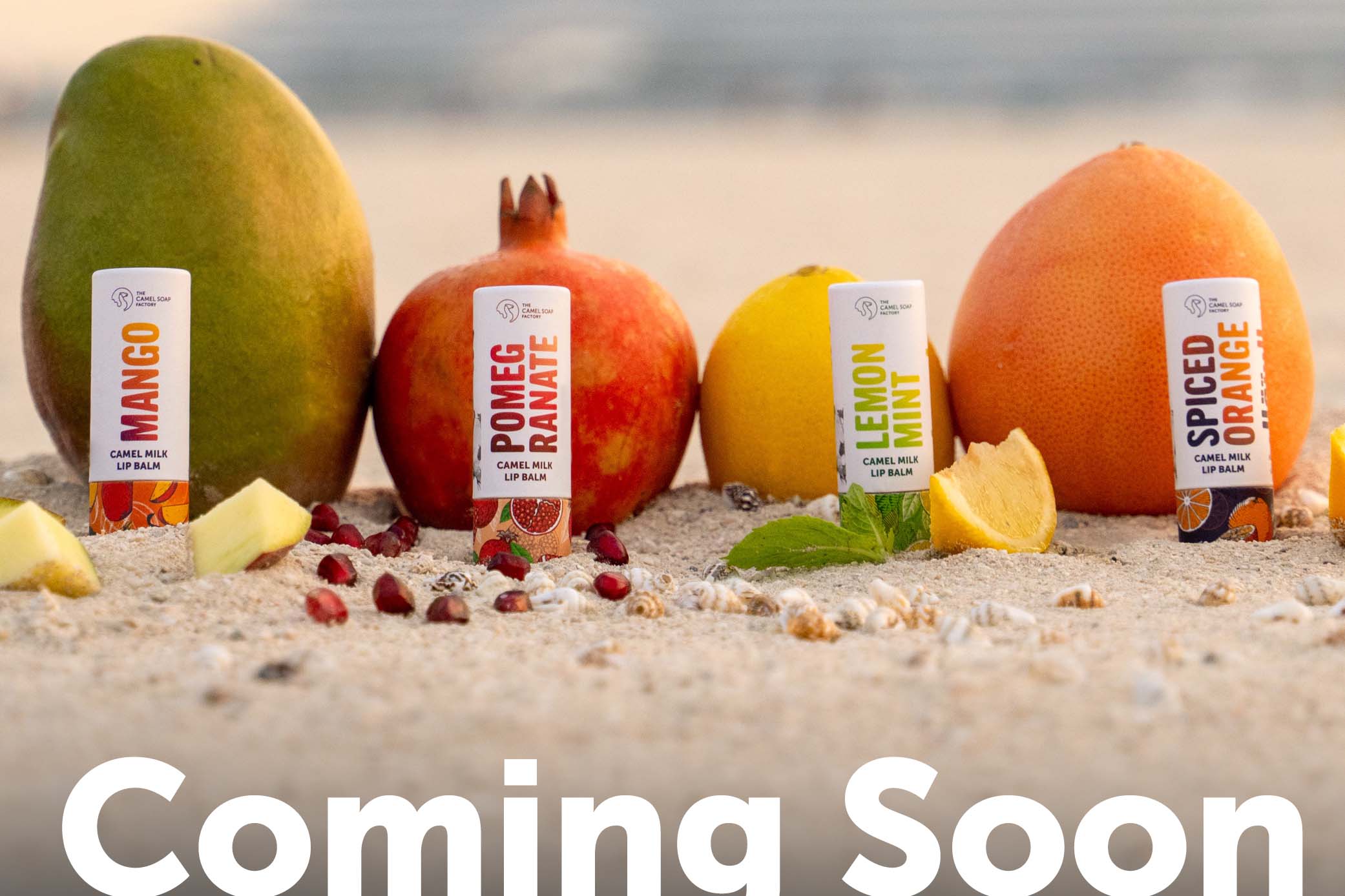 Camel Milk: Timeless Middle Eastern Traditions – The Camel Soap Factory