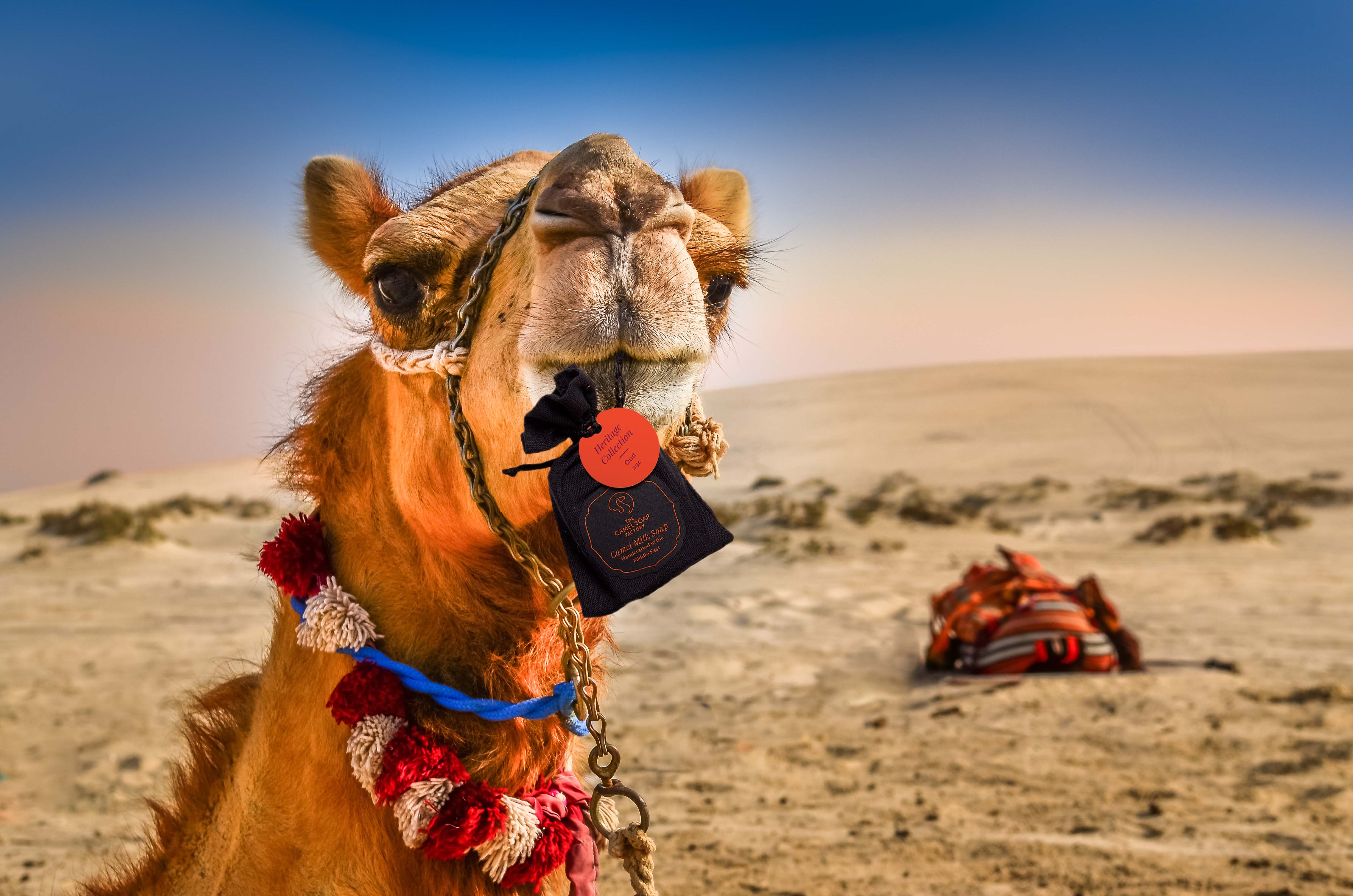 FAQs – The Camel Soap Factory